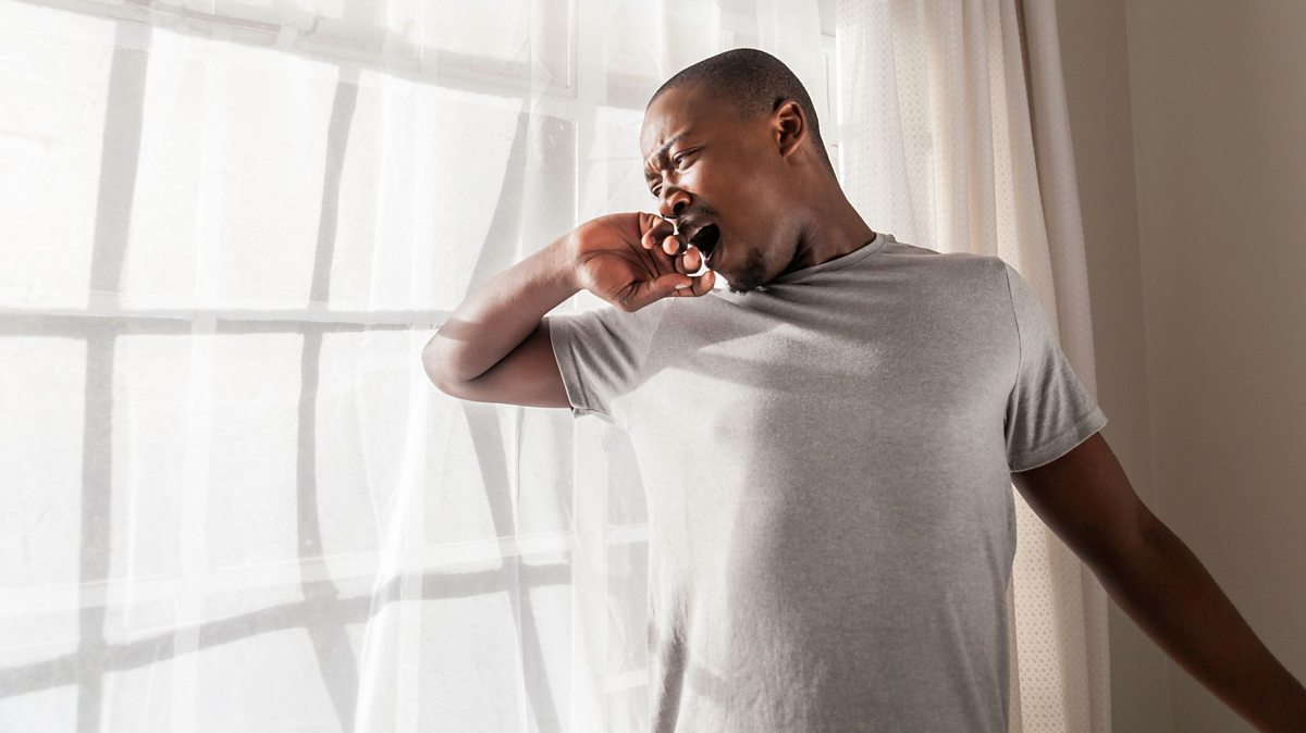 Five things science still can’t explain - BBC Bitesize