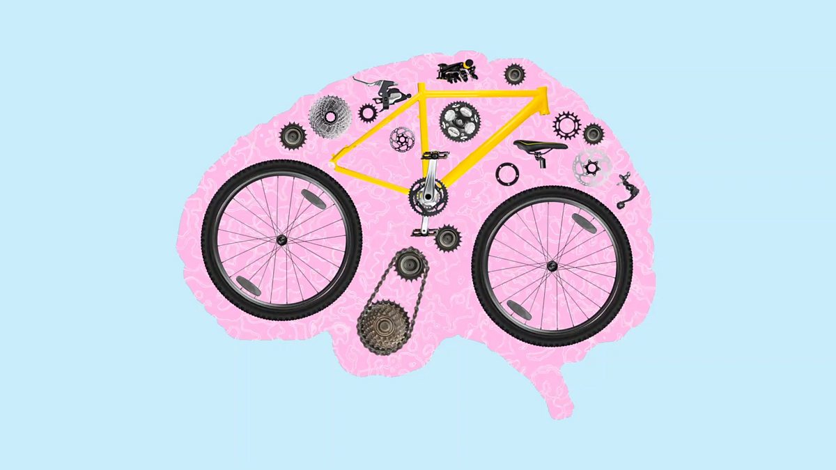 The teenage brain - BBC Bitesize