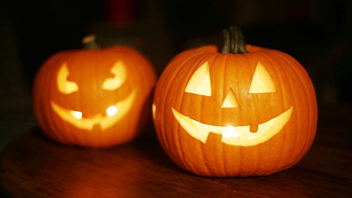 What is WitchTok, and how does a WitchTokker prepare for Halloween ...