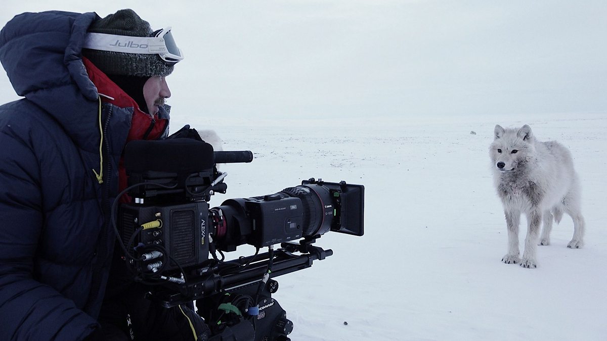 Filming A Perfect Planet: Five challenging shoots for the crew - BBC ...