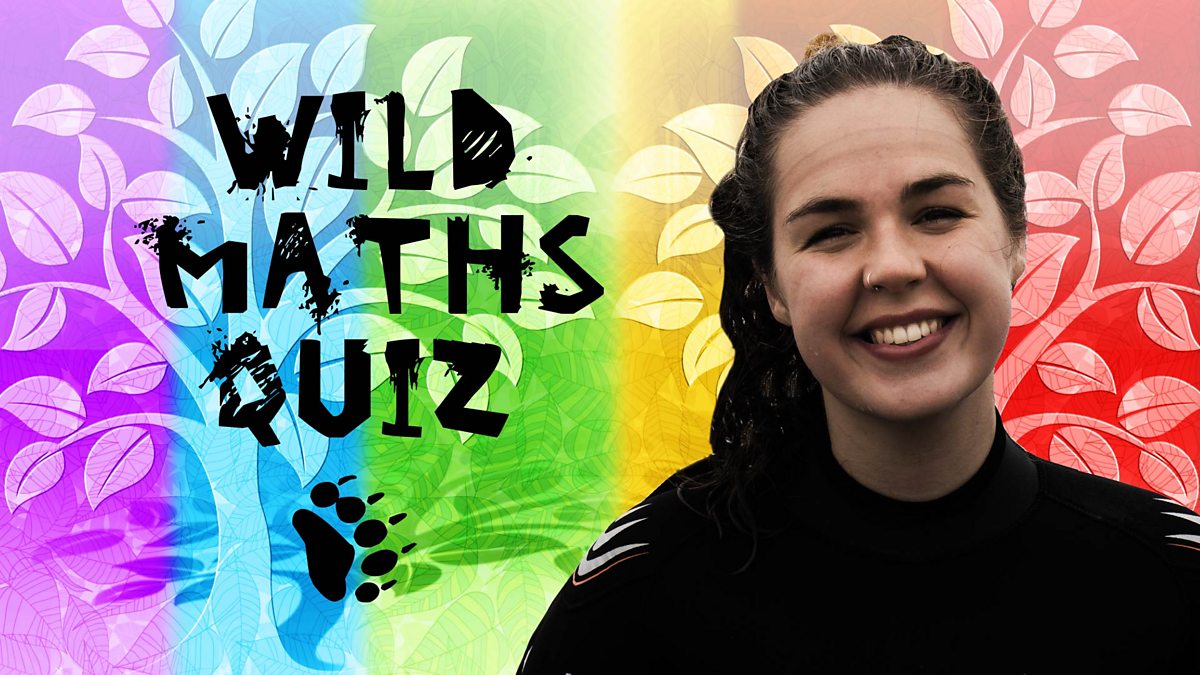 Time to get Wild with Numbers ... - BBC Teach