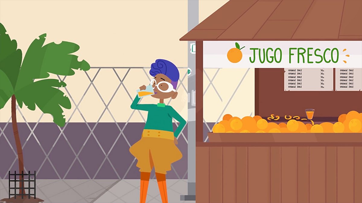 Let's explore Florida - BBC Bitesize