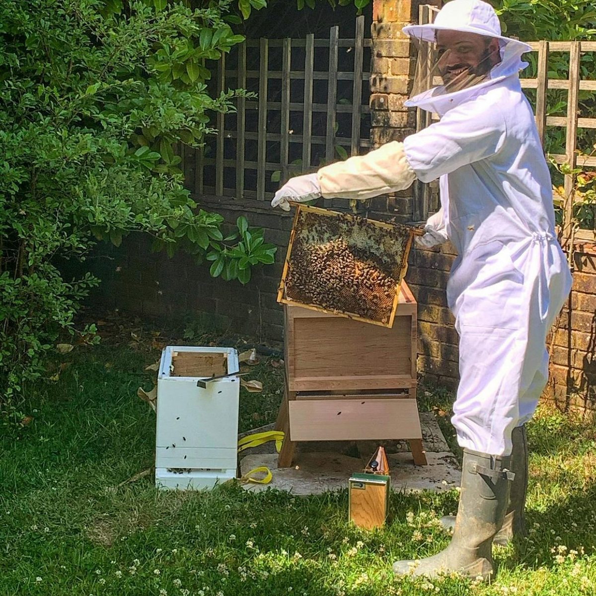 Bee-friendly Activities for toddlers - How to safely introduce kids to ...