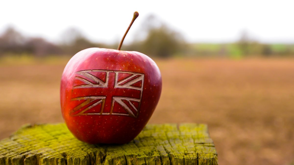 The big British apple quiz - BBC Food