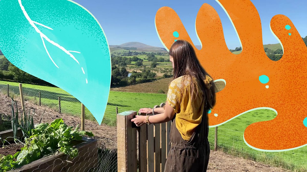 Five ways to eat well for you and the planet - The Regenerators - BBC ...