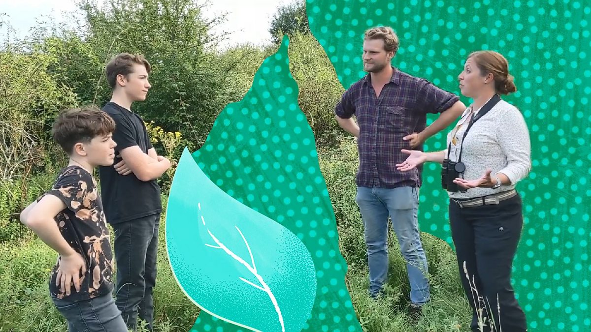 Four ways to give back to nature through rewilding - The Regenerators ...