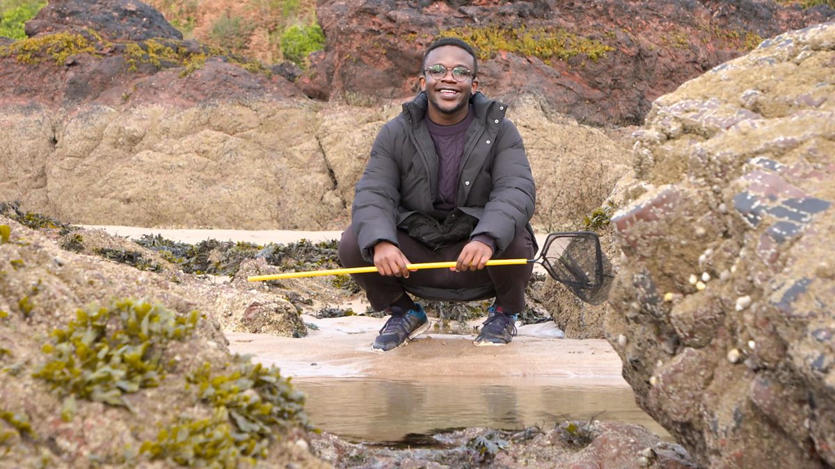 KS2 Geography: Shore, coast and ocean (Zoom In, Zoom Out) - BBC Teach