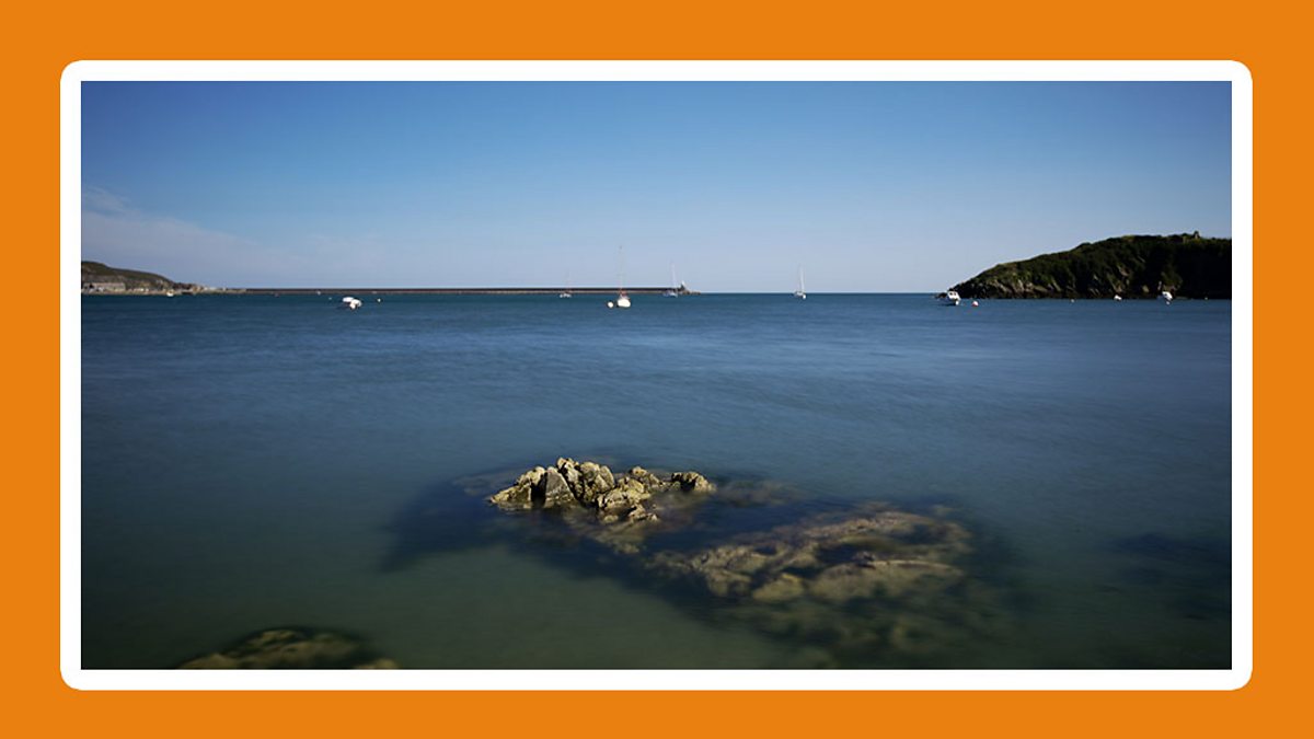 Which animals live in rock pools? - KS2 Sustainability (Humanities ...