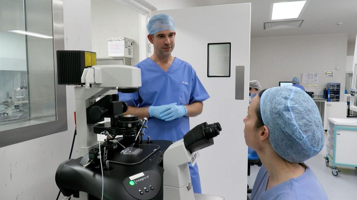 PSHE KS2: Operation Ouch! How are babies made? In vitro fertilisation ...