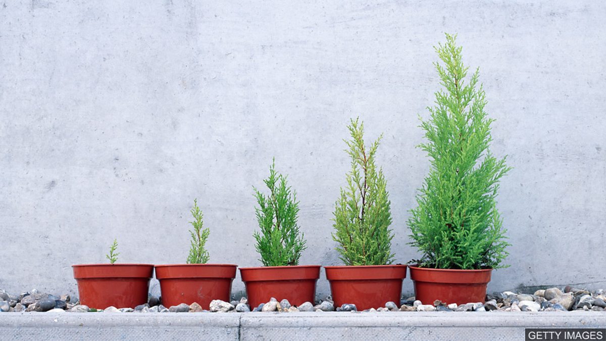 BBC Learning English - 你问我答 / Stage, phase, spell, period 用法浅析