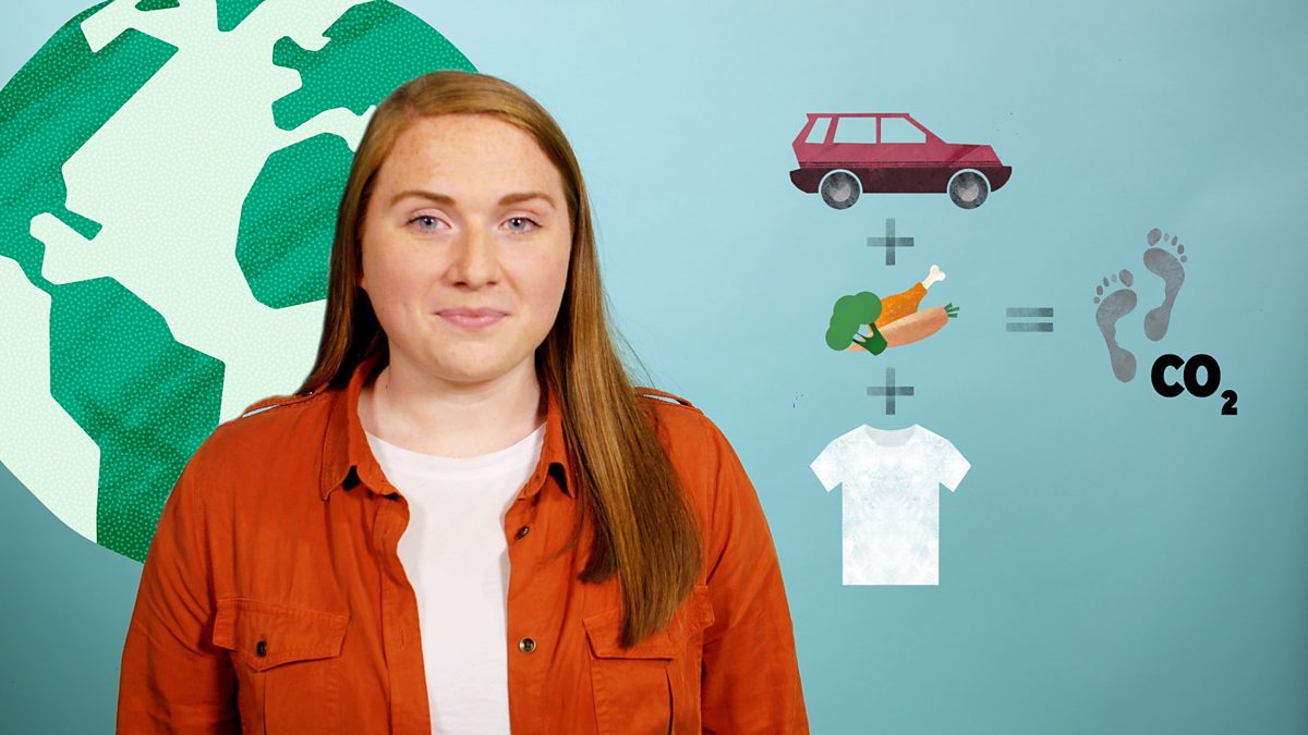 What is a carbon footprint? - KS3 - The Regenerators - BBC Bitesize