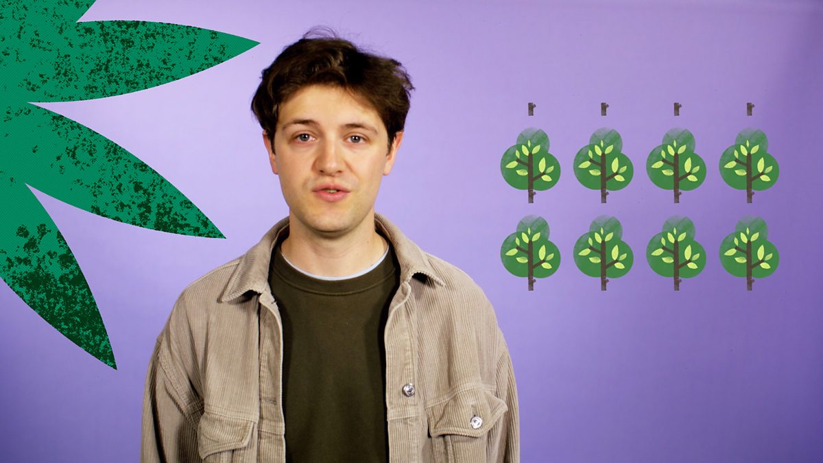 What is deforestation? - KS3 - The Regenerators - BBC Bitesize