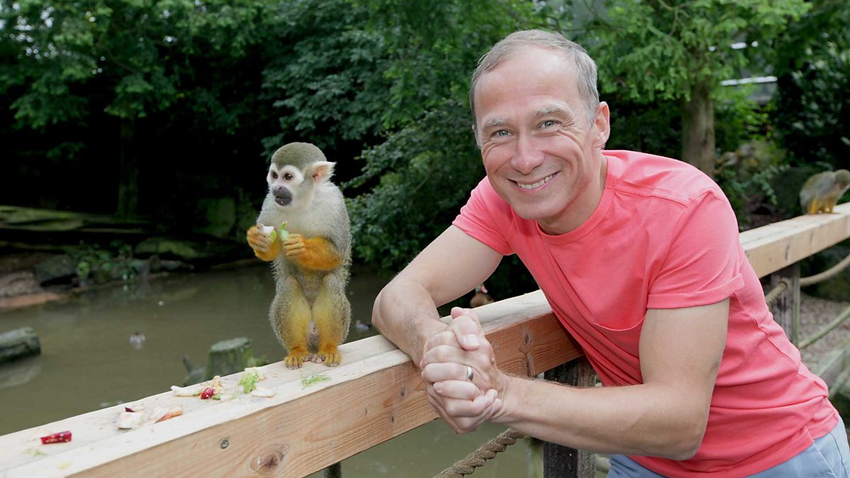 Treasure Champs. 26: Humility - 'Jupiter and the Animals' - BBC Bitesize