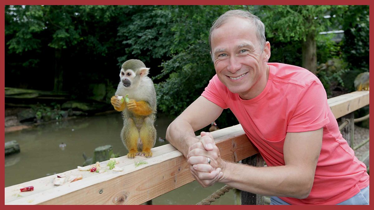 Treasure Champs. 26: Humility - 'Jupiter and the Animals' - BBC Teach