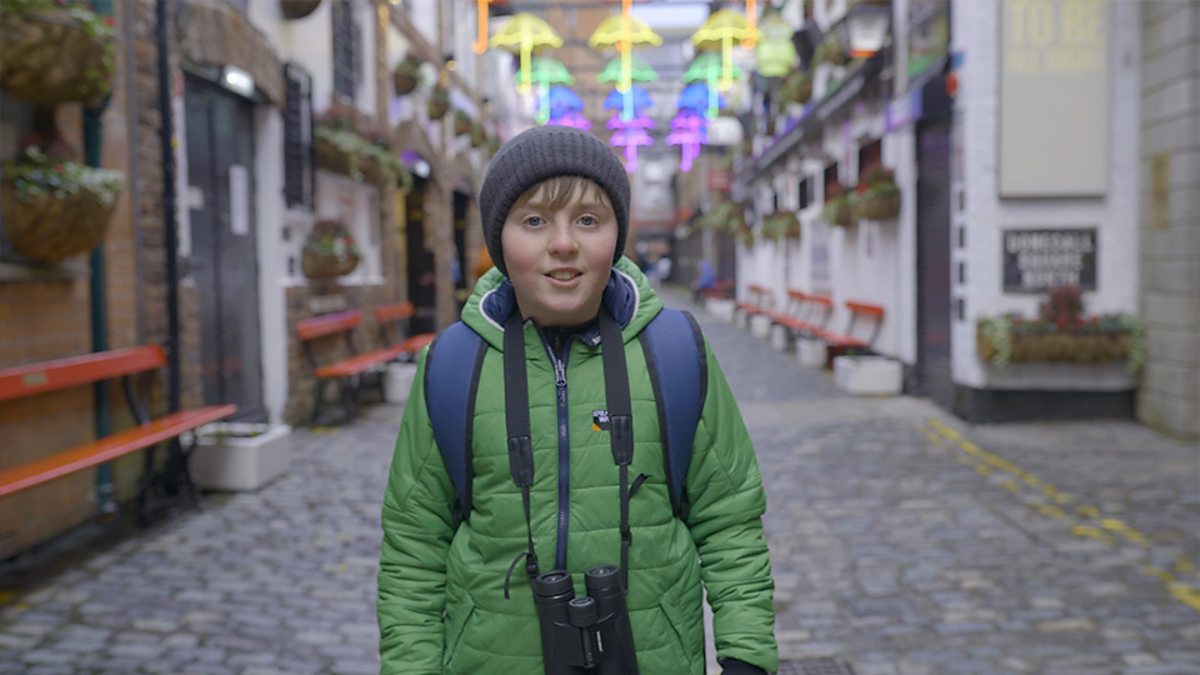 Exploring how people work in the UK | KS2 Geography | Year 5 and Year 6 ...