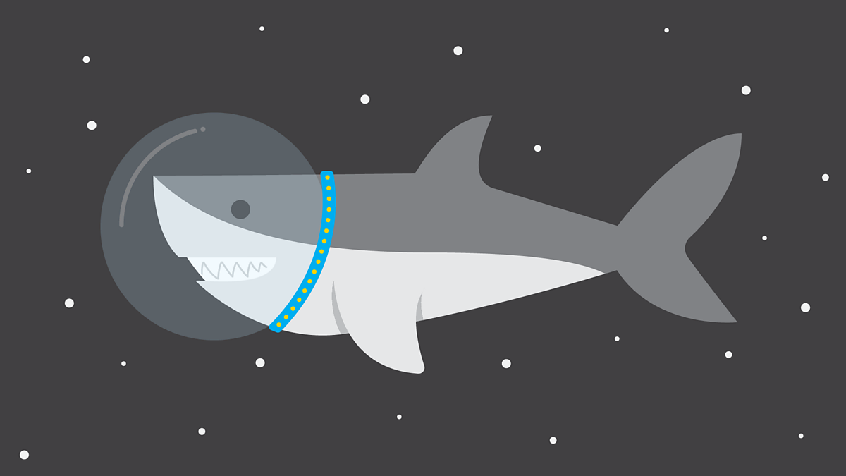 What makes a computer game great? - BBC Bitesize