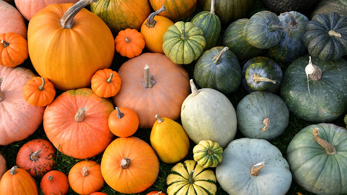 Four reasons to load up on autumn and winter veg - BBC Food