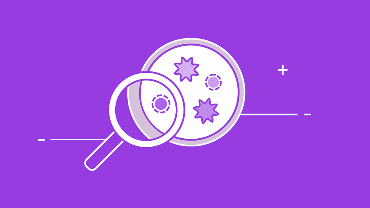 BBC Bitesize - Using past papers effectively – biology - OCR Gateway ...