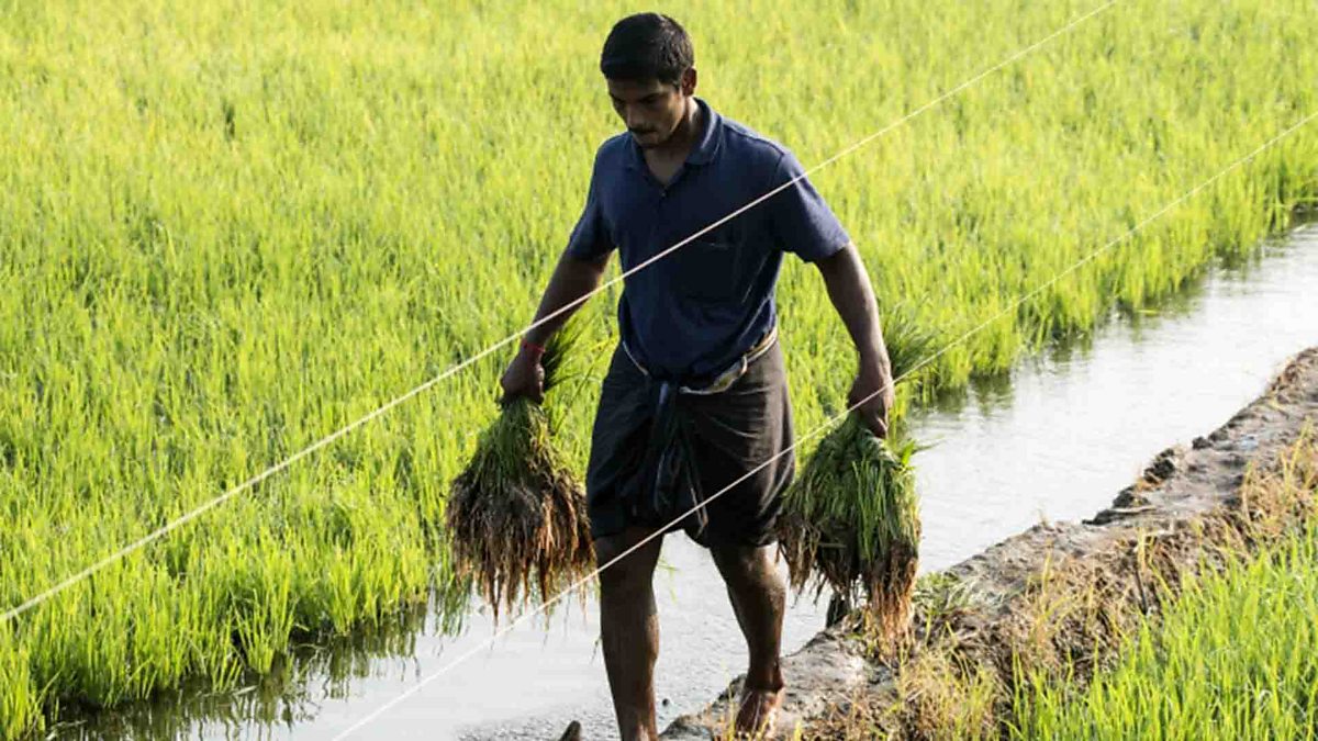 Human activities and the greenhouse effect - Polluting the atmosphere ...