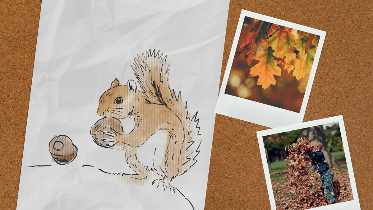 Autumn - BBC Bitesize