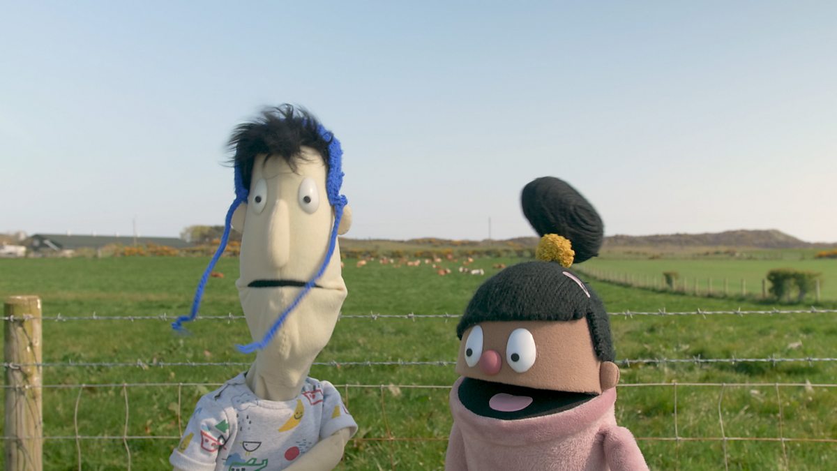 Farm Animals - BBC Bitesize