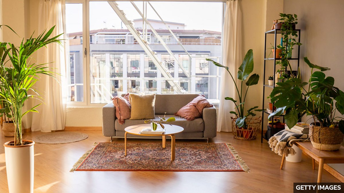BBC Learning English - 随身英语 / The feel-good home 赏心悦目的家居设计