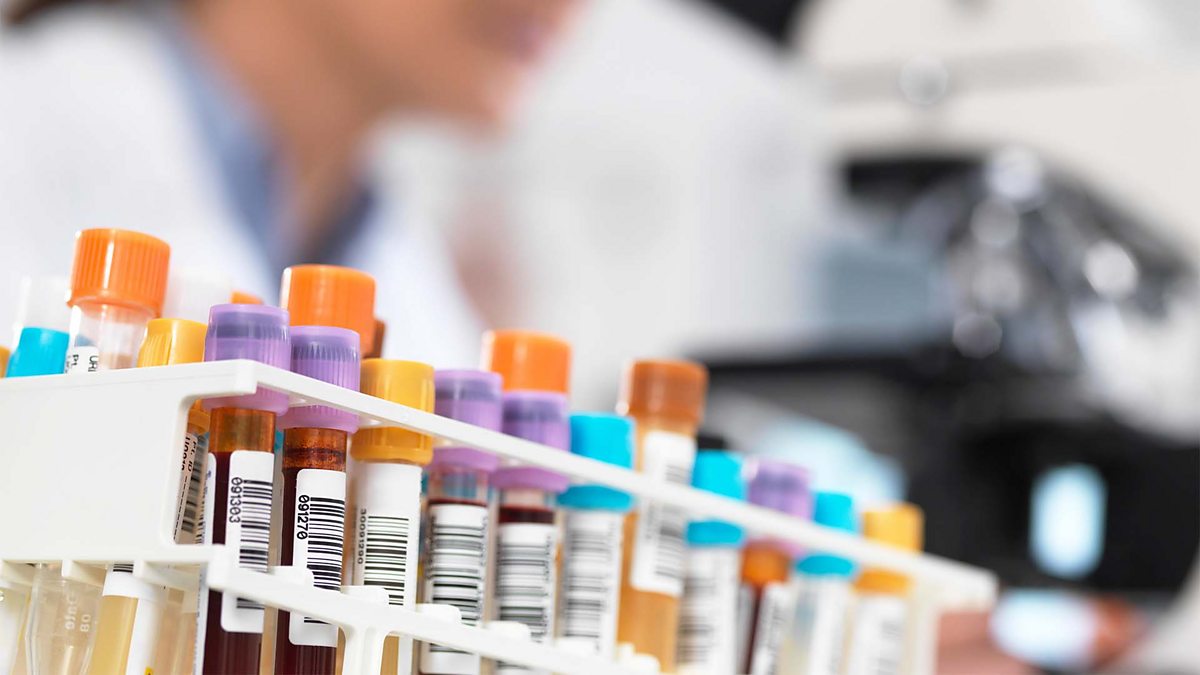 Clinical trials - Clinical trials of vaccines and drugs - Higher Human ...