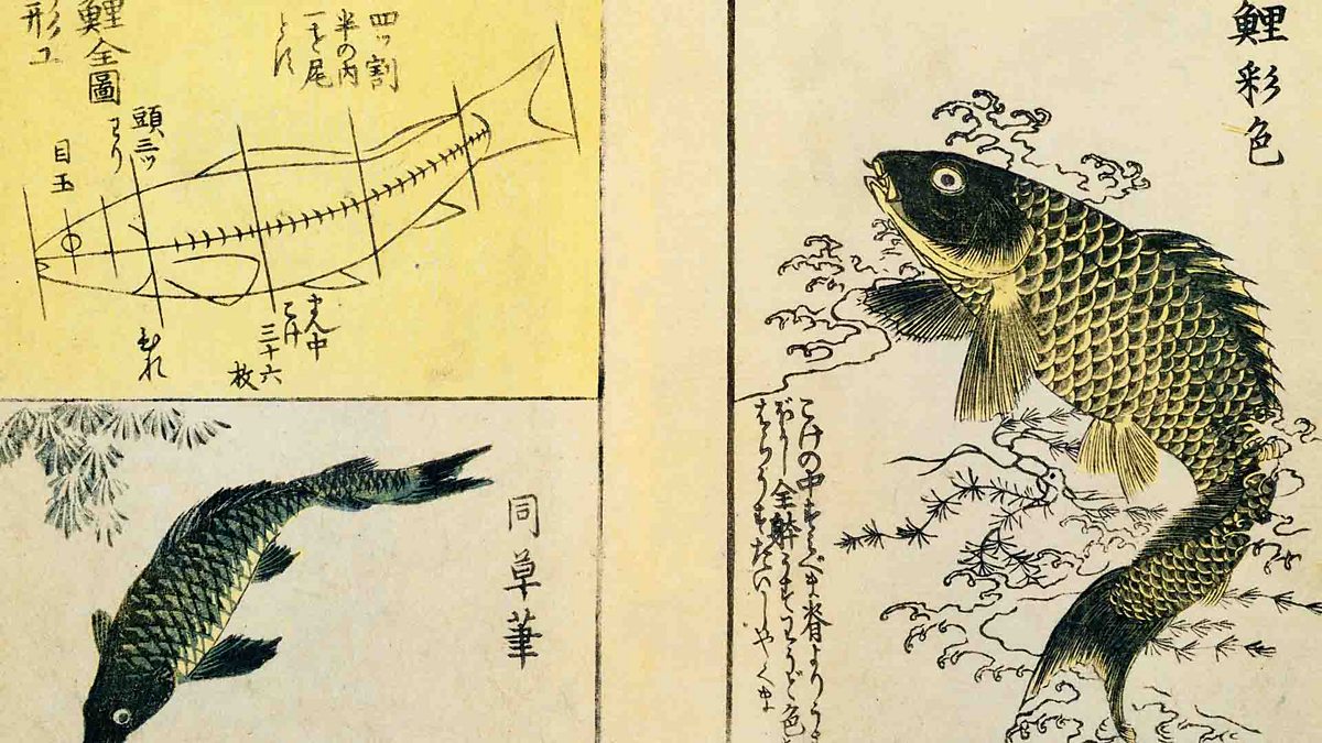 Altering proportions - Proportion - Higher Art and Design Revision ...