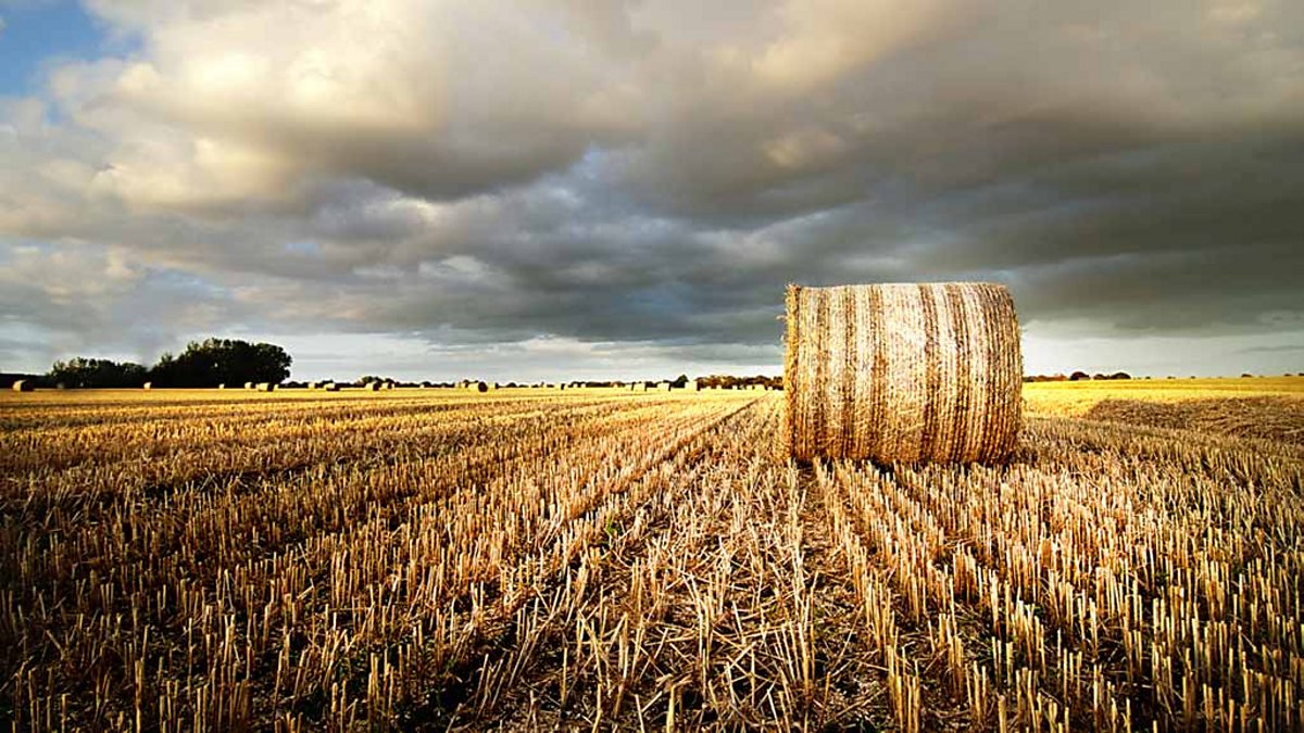 Form, structure and language - To Autumn by John Keats - Eduqas - GCSE ...