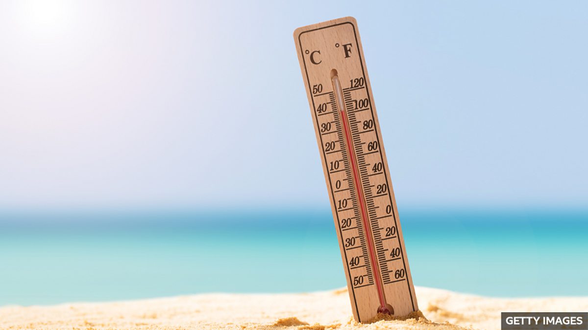 BBC Learning English - 你问我答 / If 从句的句型结构和时态规则