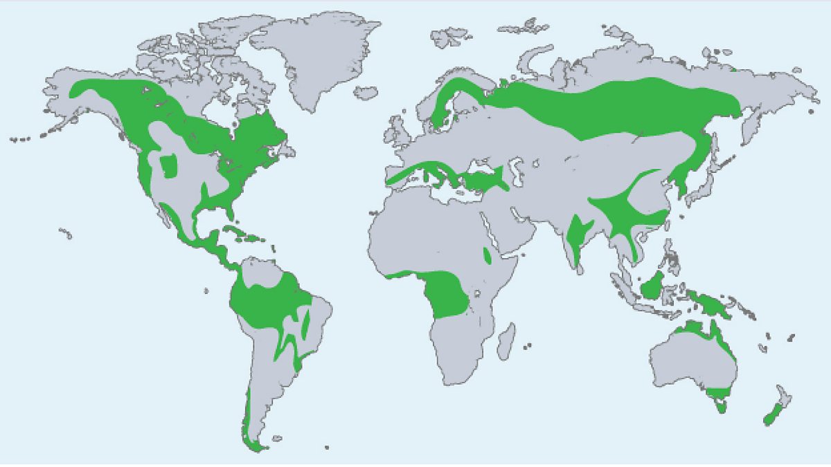Biodiversity and interdependence - Biodiversity & the effect of human ...