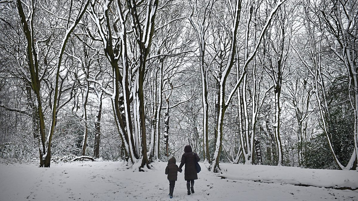 How the body control systems work - Homeostasis in humans - Edexcel ...