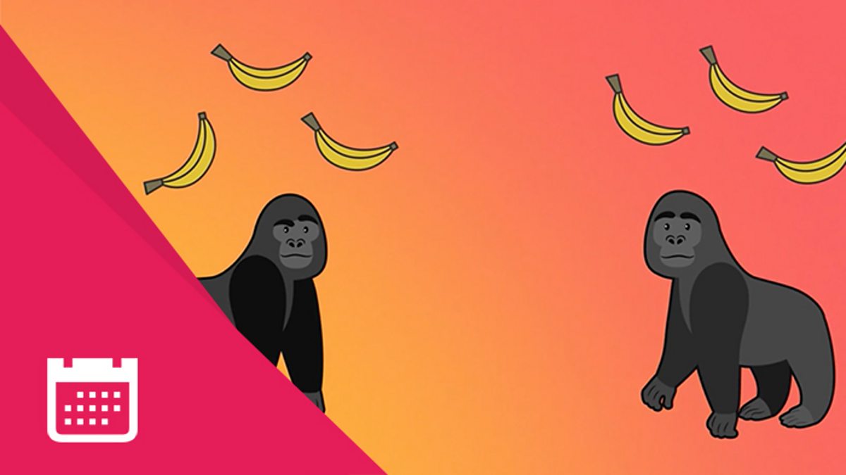 Divide by 2 - Maths - Learning with BBC Bitesize - BBC Bitesize