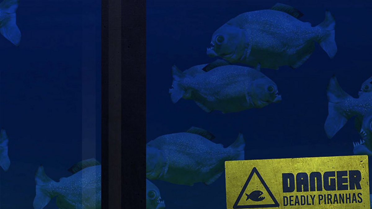 Learn how to carry out an experiment to investigate the principle of ...