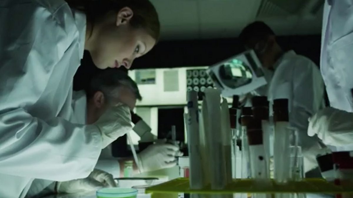 The stages of genetic engineering - Revise: Genetic engineering ...