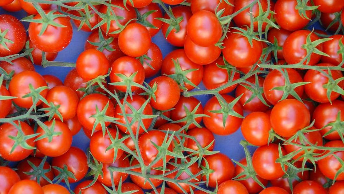 Prepositions – using au, à la, à l' and aux - Prepositions - au, à la ...