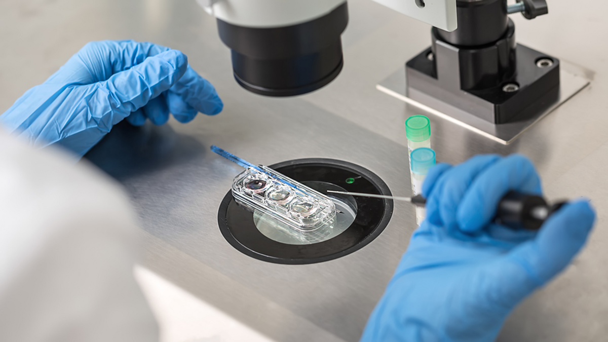 The role of IVF treatment in tackling infertility - Developments in ...