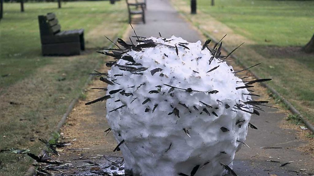 What is variety in art? - Variety - AQA - GCSE Art and Design Revision ...