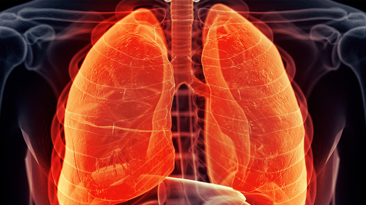 Respiration - Designing an experiment to show different rates of ...