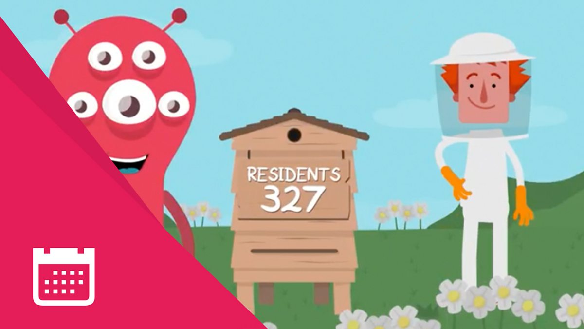 Add numbers with up to 4 digits together - Maths - Learning with BBC ...