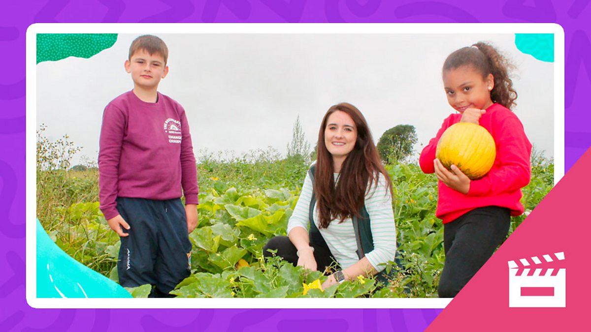 Let's visit a farm - EYFS - Reception - BBC Bitesize