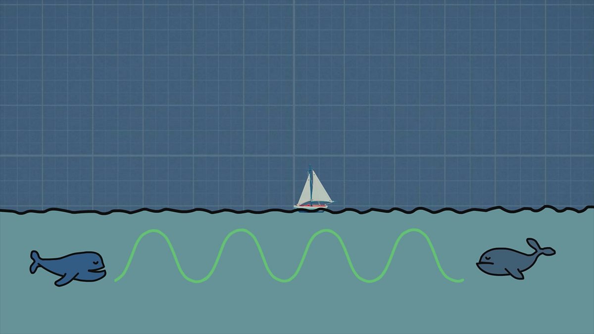 Sound and communication - BBC Bitesize