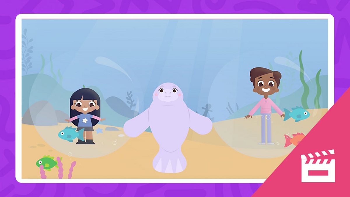 Dance along to a song from the Caribbean - EYFS - Reception - BBC Bitesize