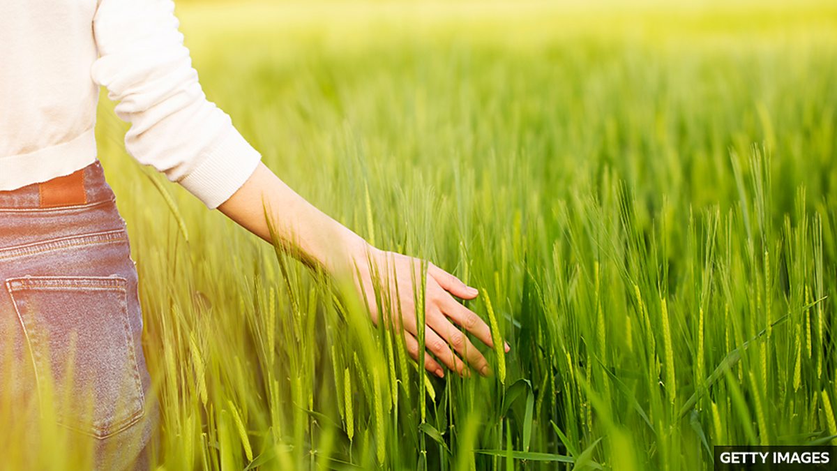 BBC Learning English - 地道英语 / Touch grass 回归生活，出去走走