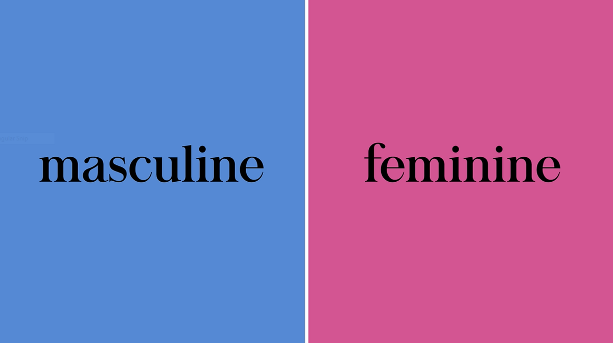 Gender of nouns - Grammar: nouns and articles: Video playlist - BBC ...