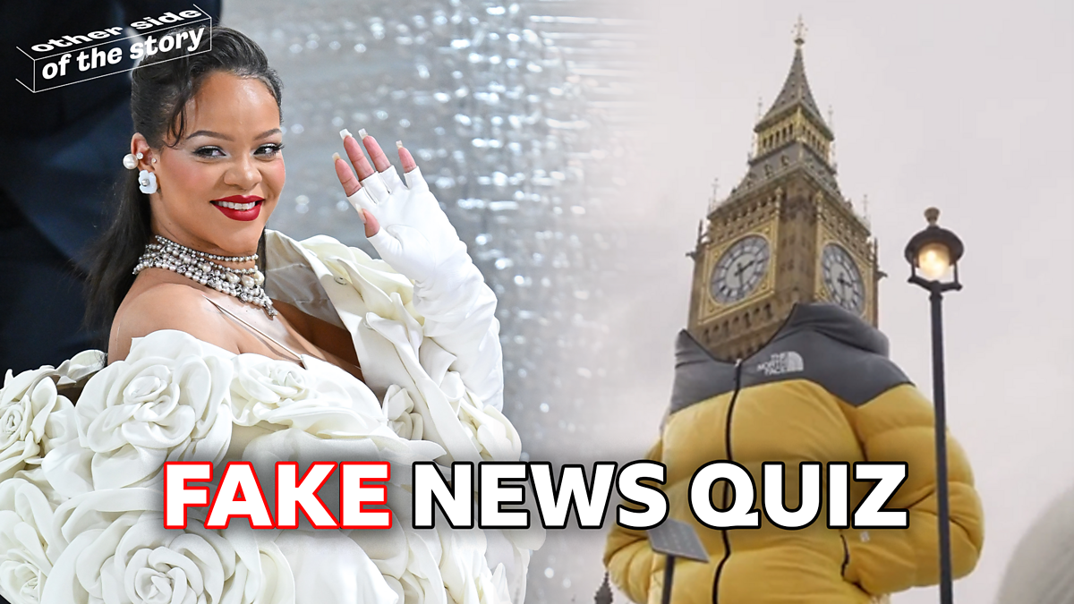 Fake news quiz November 2023 - BBC Bitesize