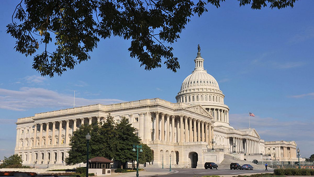 How does the US political system work? - BBC Bitesize