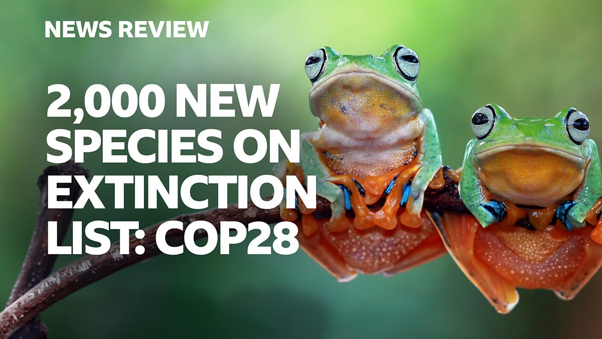 BBC Learning English - Course: News Review / Unit 1