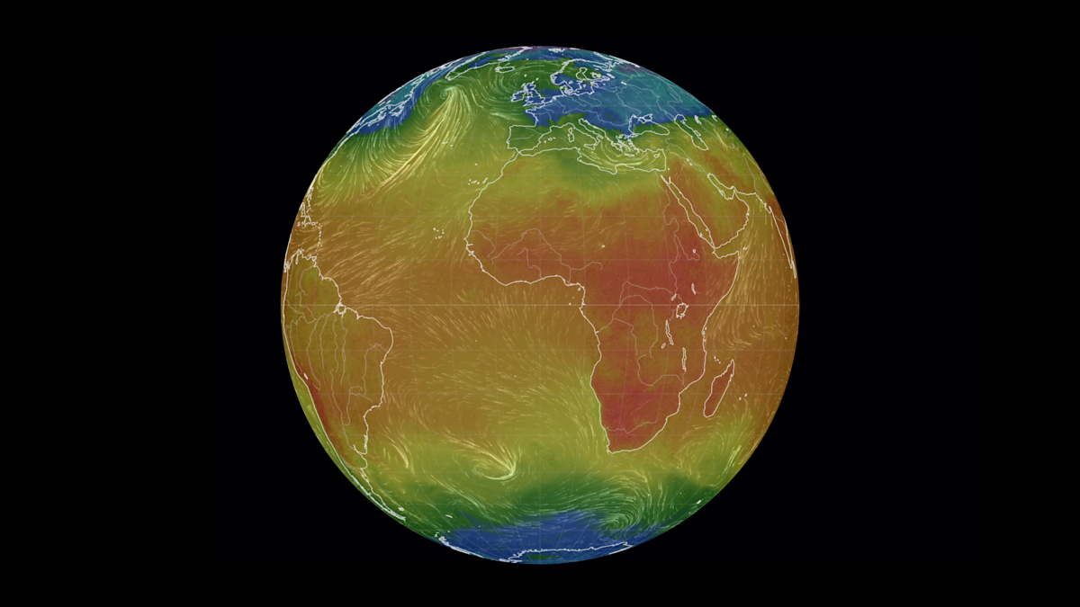 Ecosystems - Living with the physical environment: Video playlist - BBC ...