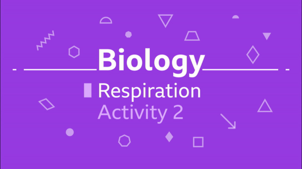 GCSE combined science questions - respiration biology revision - BBC ...